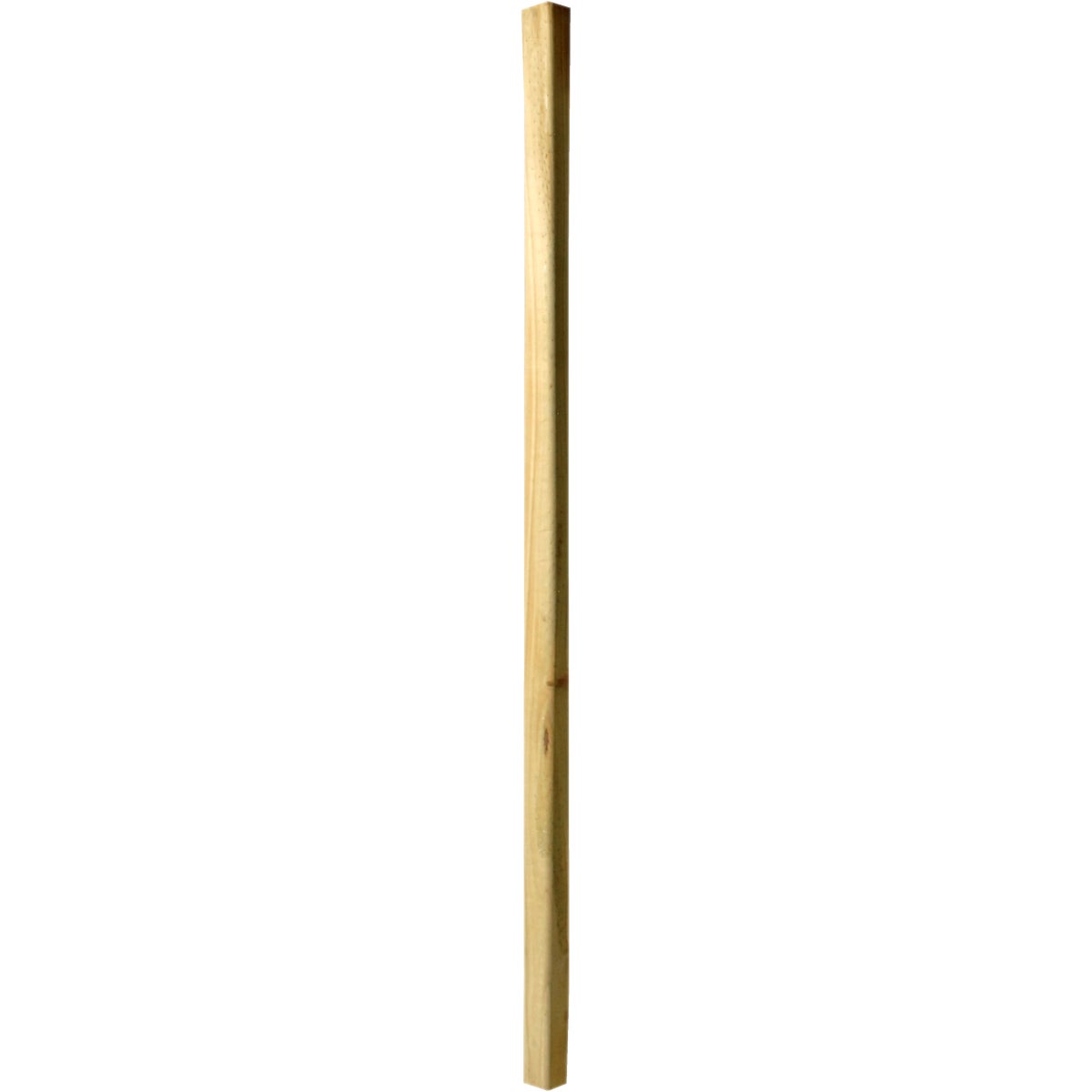 ProWood 2 In. x 2 In. x 36 In. Square Treated Wood Baluster – Hemlock ...