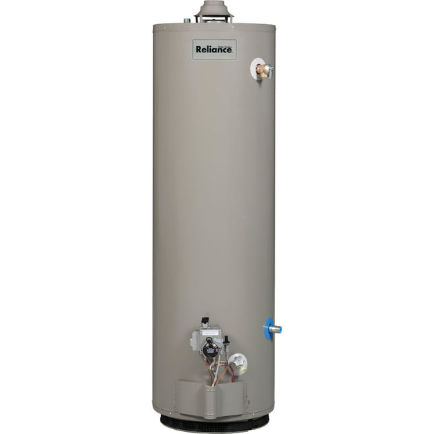 Reliance Mobile Home Natural Gas/Liquid Propane Water Heater – Hemlock ...