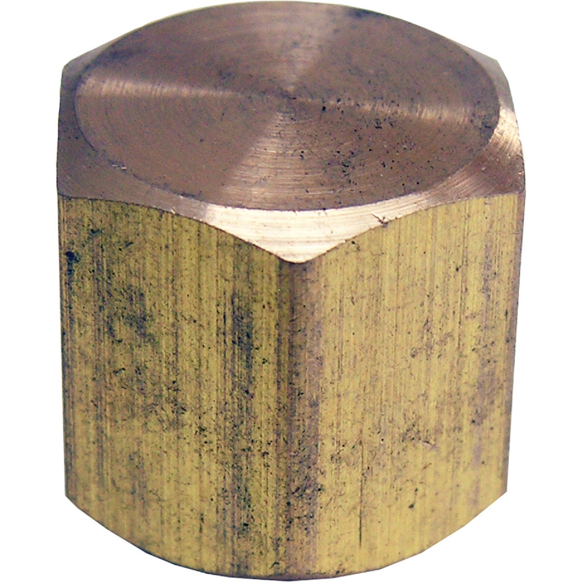 Lasco 1/8 In. Red Brass Threaded Pipe Cap – Hemlock Hardware