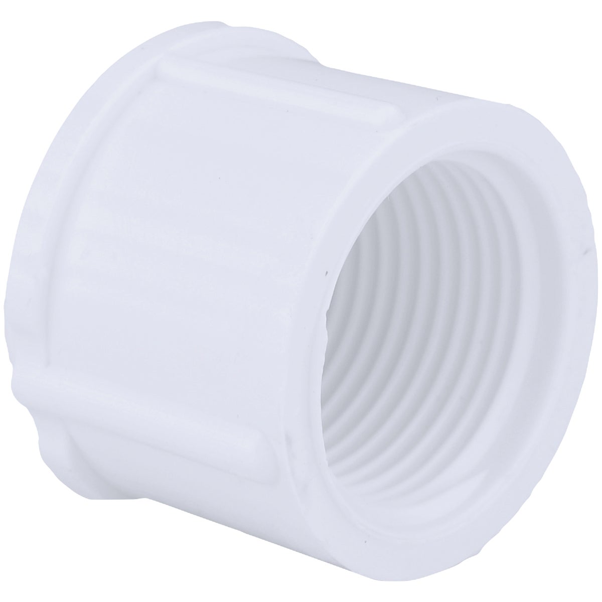 Charlotte Pipe 3/4 In. FIP Schedule 40 Threaded PVC Cap – Hemlock Hardware