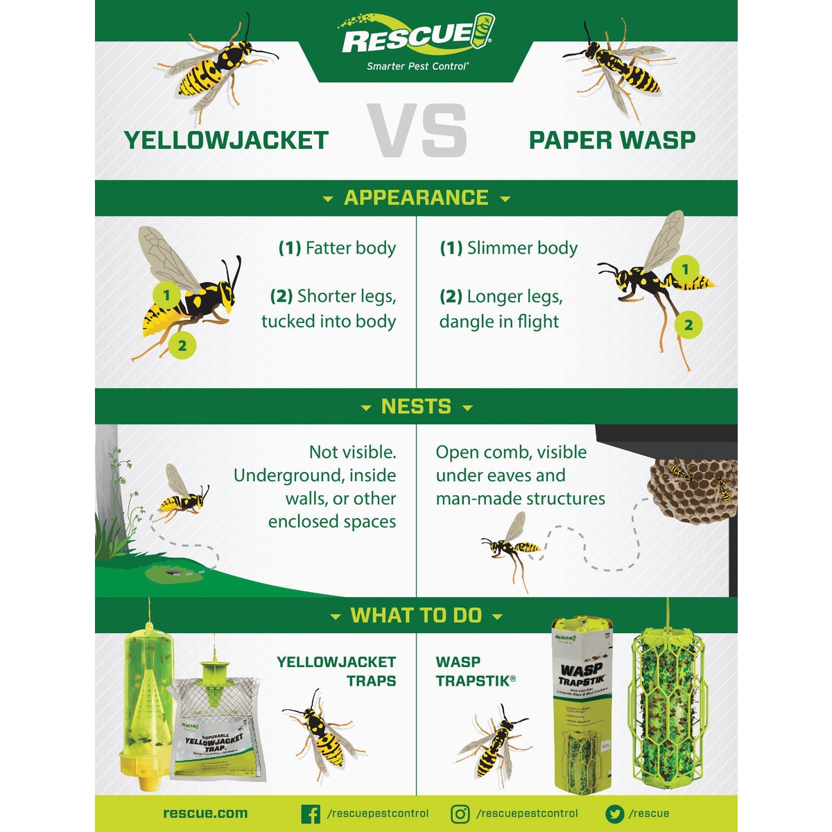Rescue TrapStik Disposable Wasp Trap – Hemlock Hardware