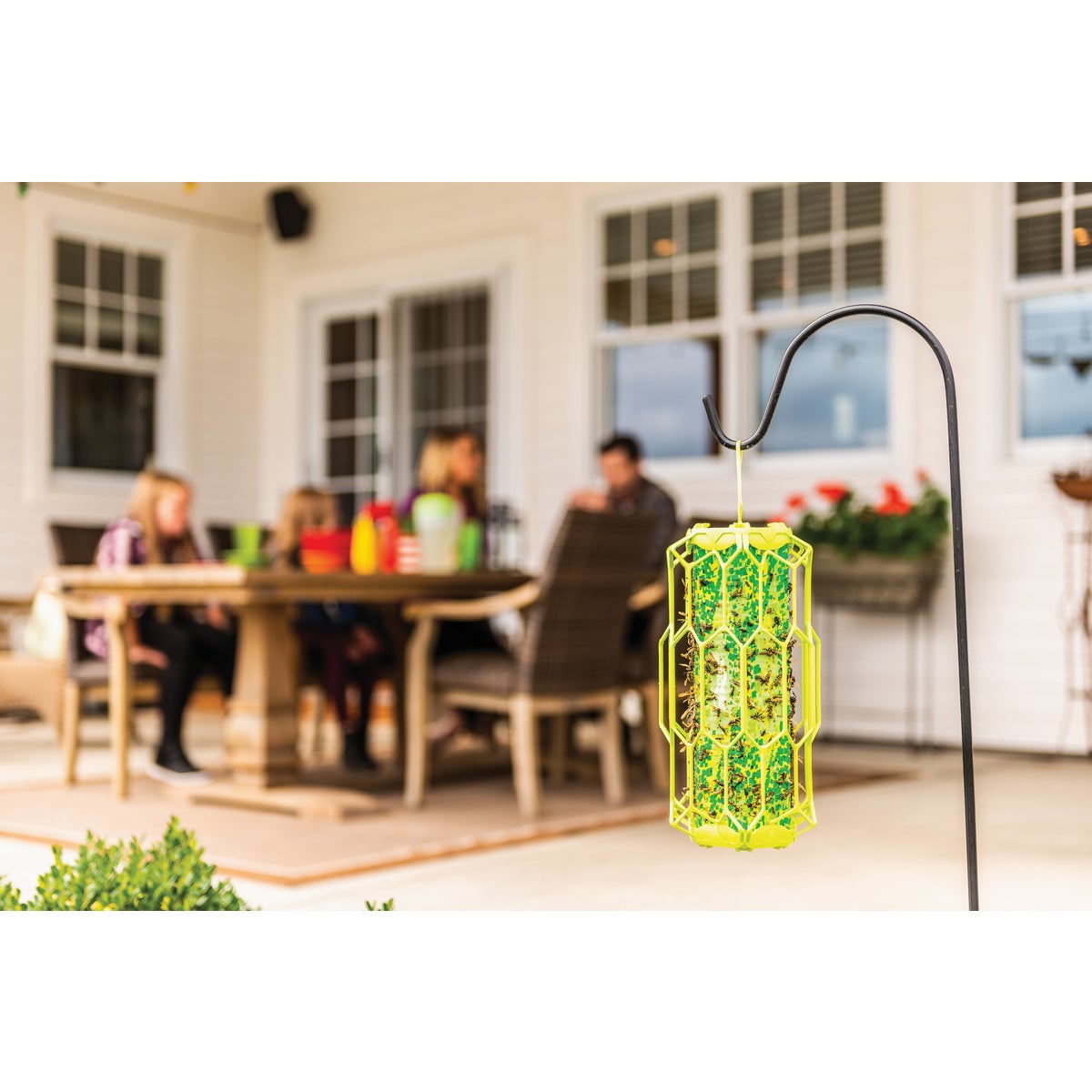 Rescue TrapStik Disposable Wasp Trap – Hemlock Hardware