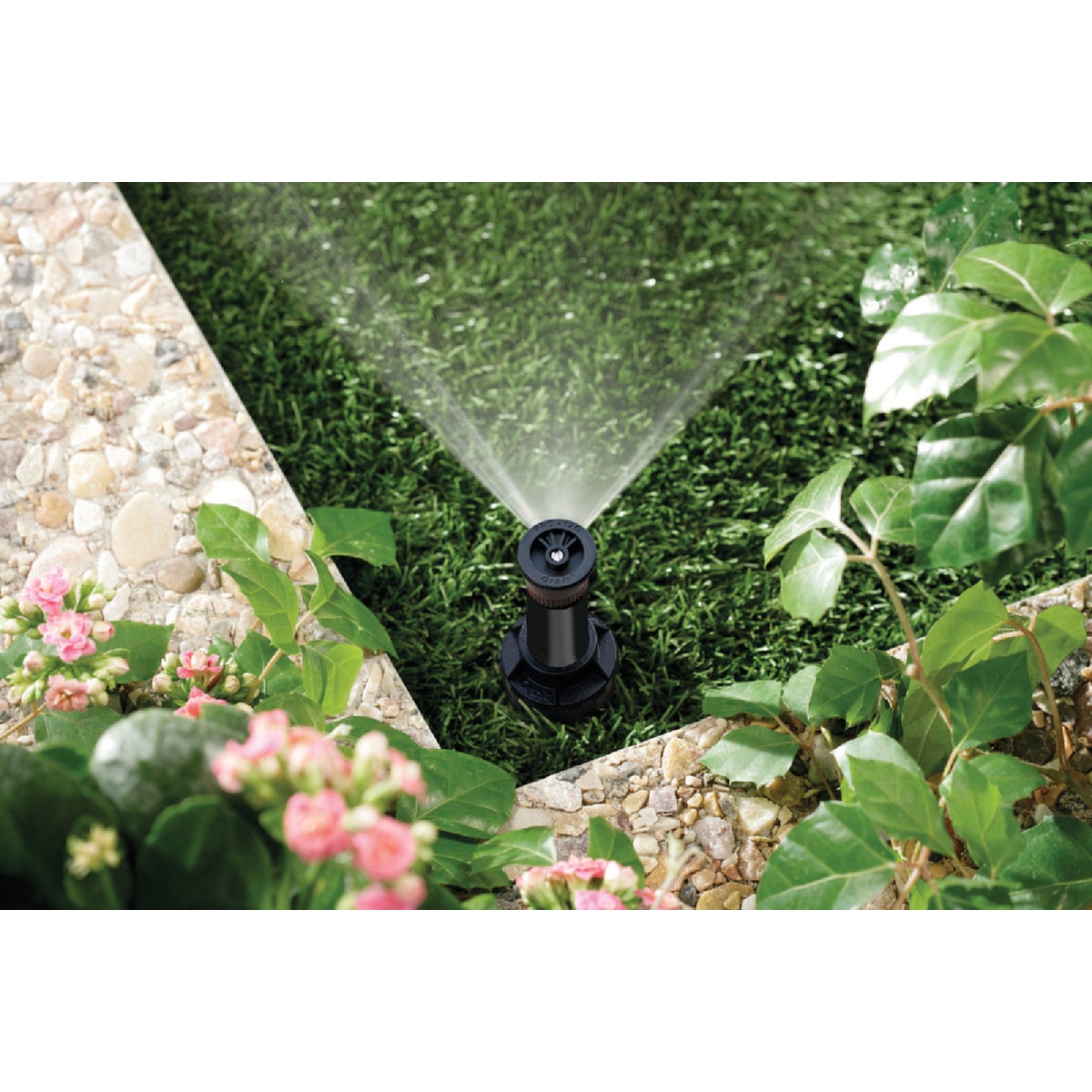 Orbit WaterMaster 2.125 In. Quarter Circle Plastic Sprinkler Pop-Up He ...