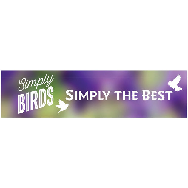 Best Garden Simply Birds & Morning Song Bird Seed POP Kit – Hemlock ...