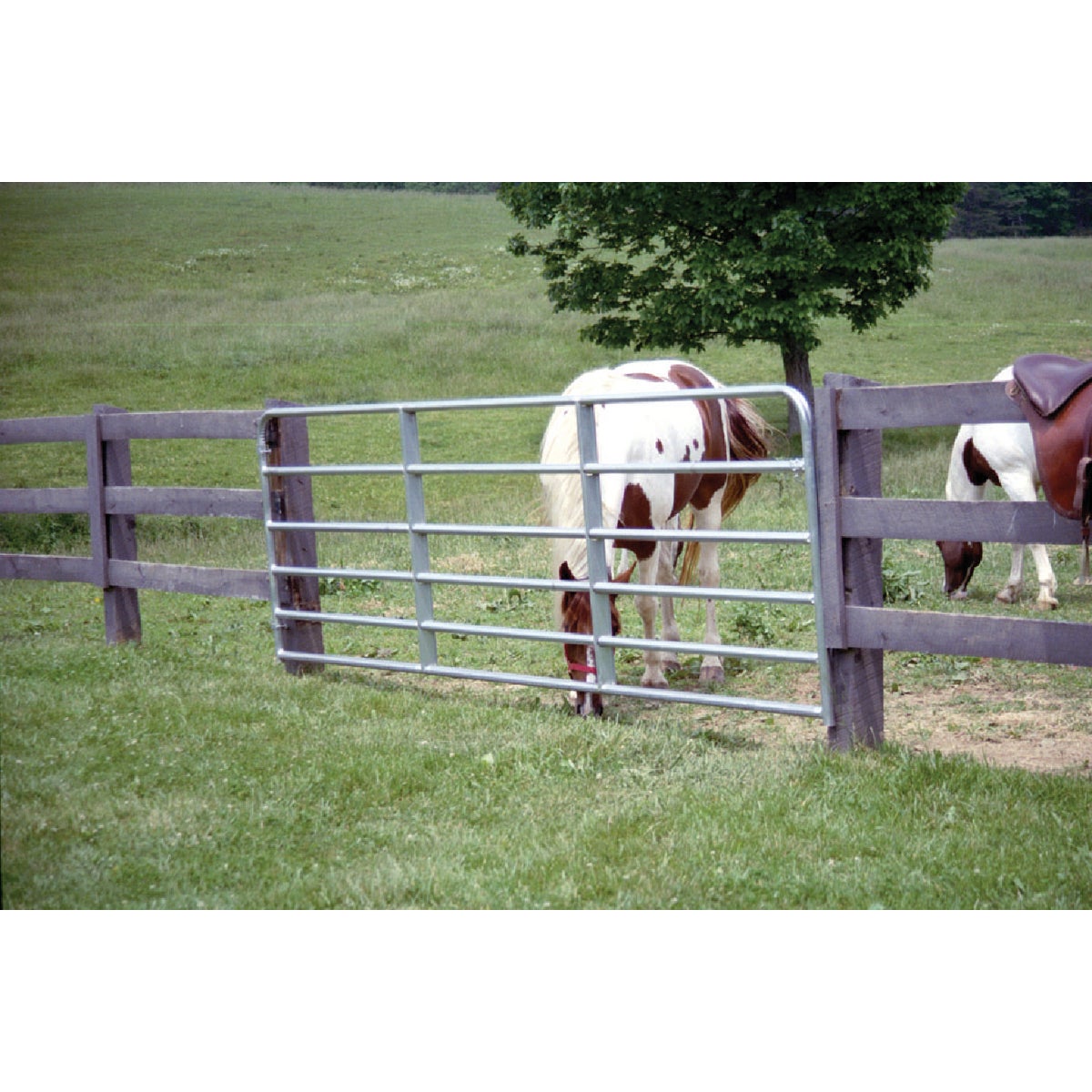 Tarter 50 In. H. x 16 Ft. L. x 1-3/4 In. Tube Diameter Galvanized Tube ...