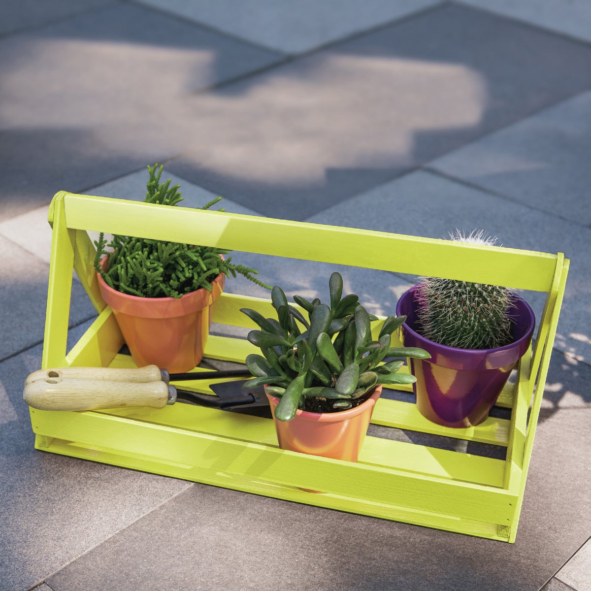 Krylon Colormaxx Gloss Spray Paint & Primer, Citrus Green – Hemlock ...